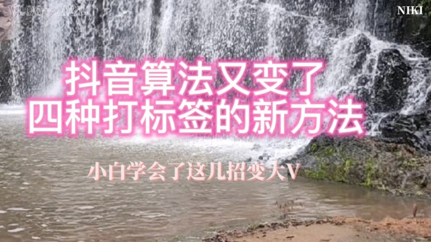 抖音算法又变了,四种打标签的新方法,学会了变大V