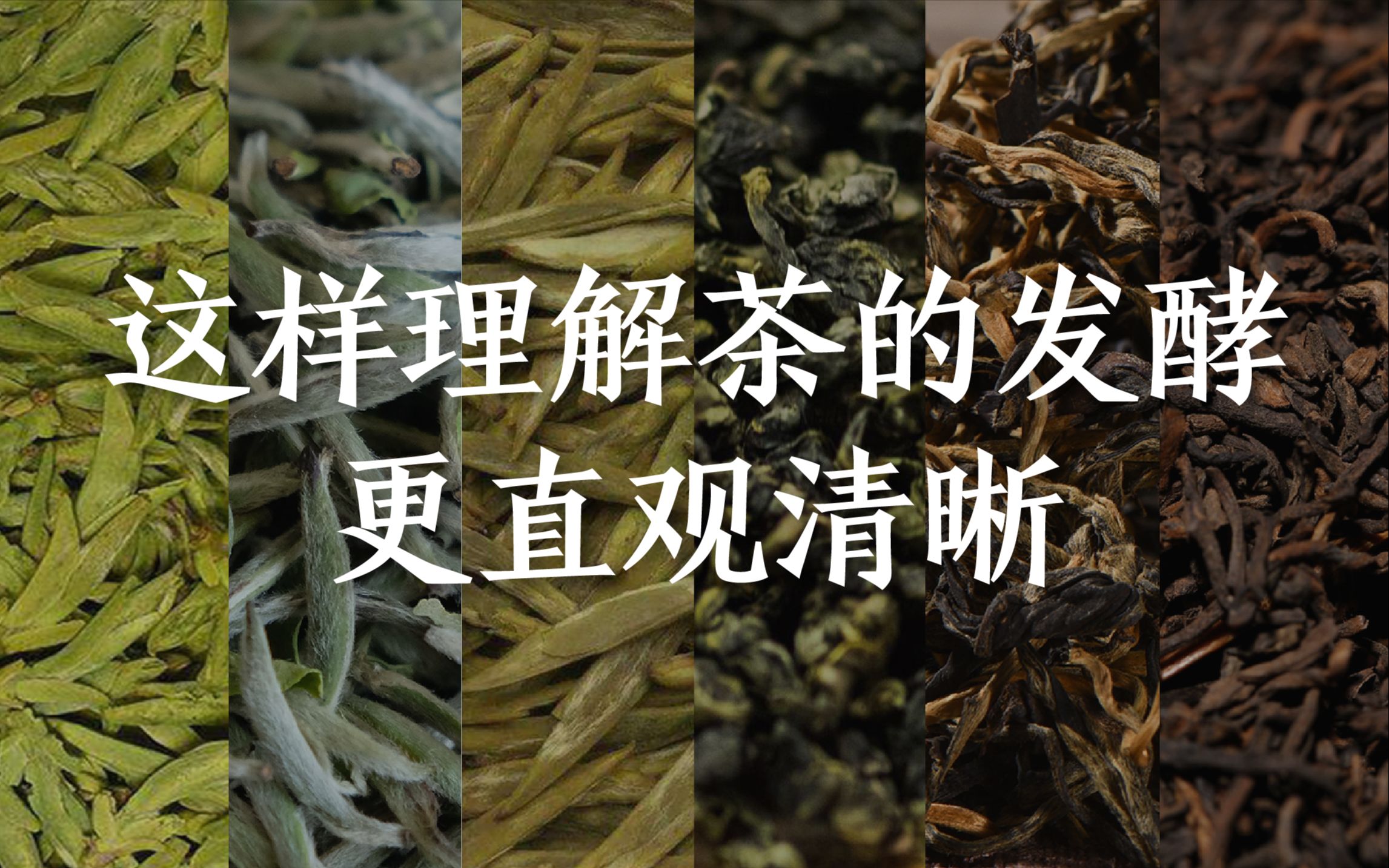 六大茶类的发酵到底是怎么回事?一个有趣的方式帮你搞懂它!