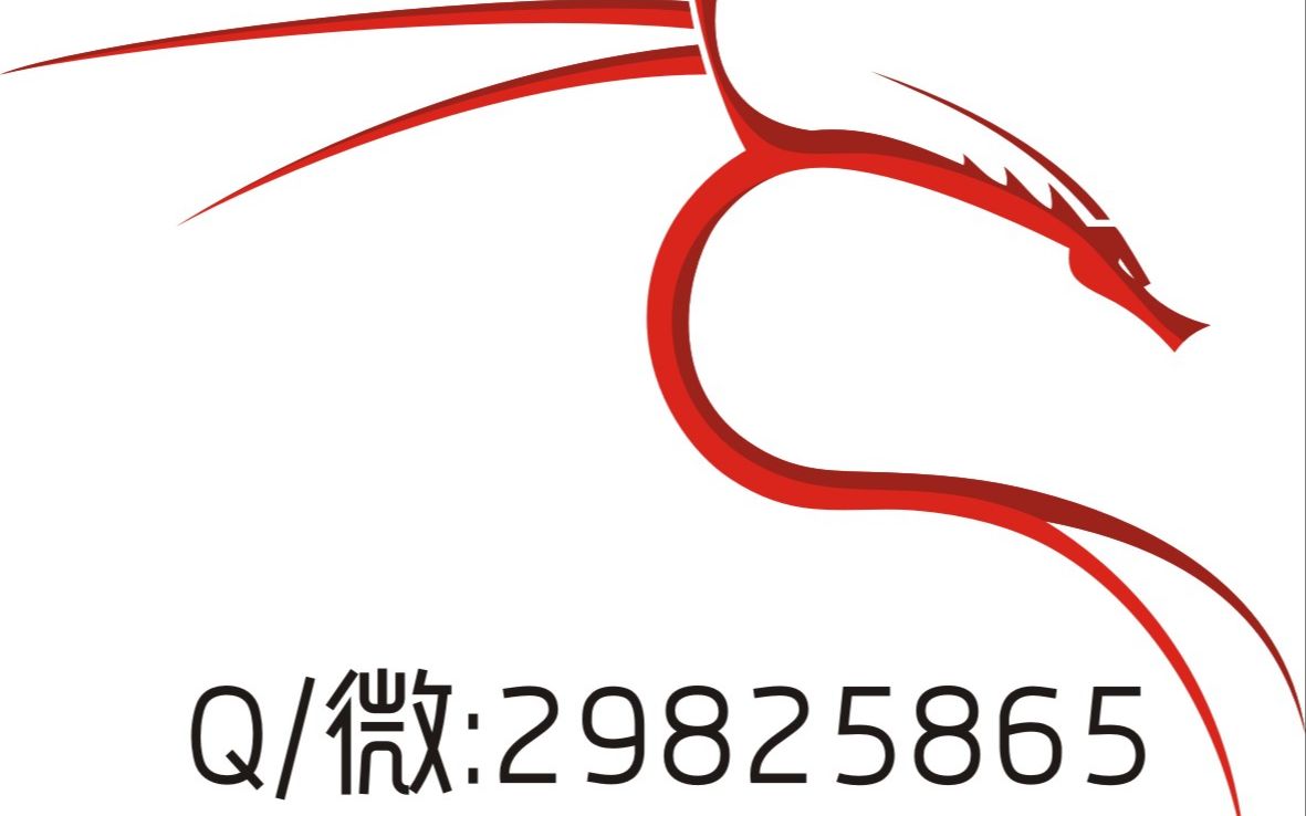 黑帽SEO泛目录站群培训,端口模式0基础视频教程