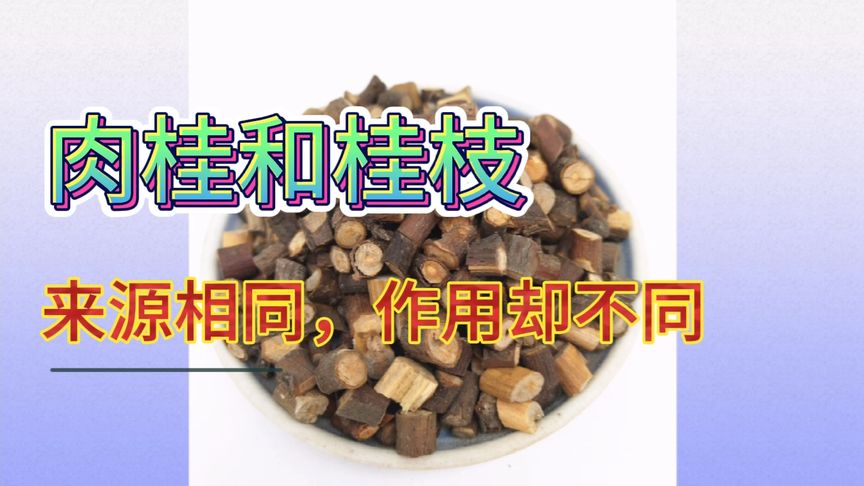 肉桂和桂枝来源于同一植物,作用强弱不同,肉桂力猛,而桂枝力缓