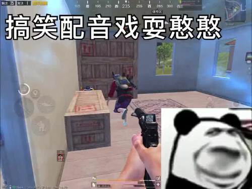 这两个憨憨太有意思了哈哈