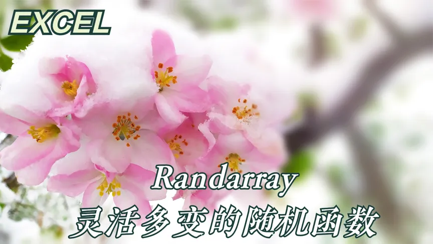 EXCEL:RANDARRAY函数,在上下限范围内生成随机数