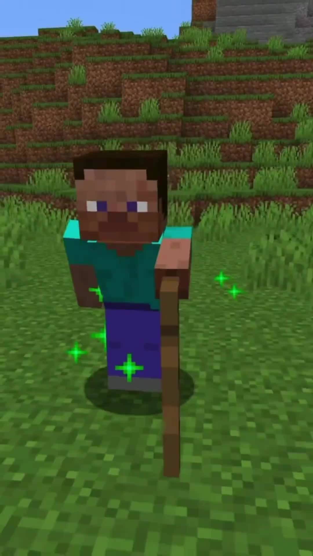 我将人的一生添加到我的世界