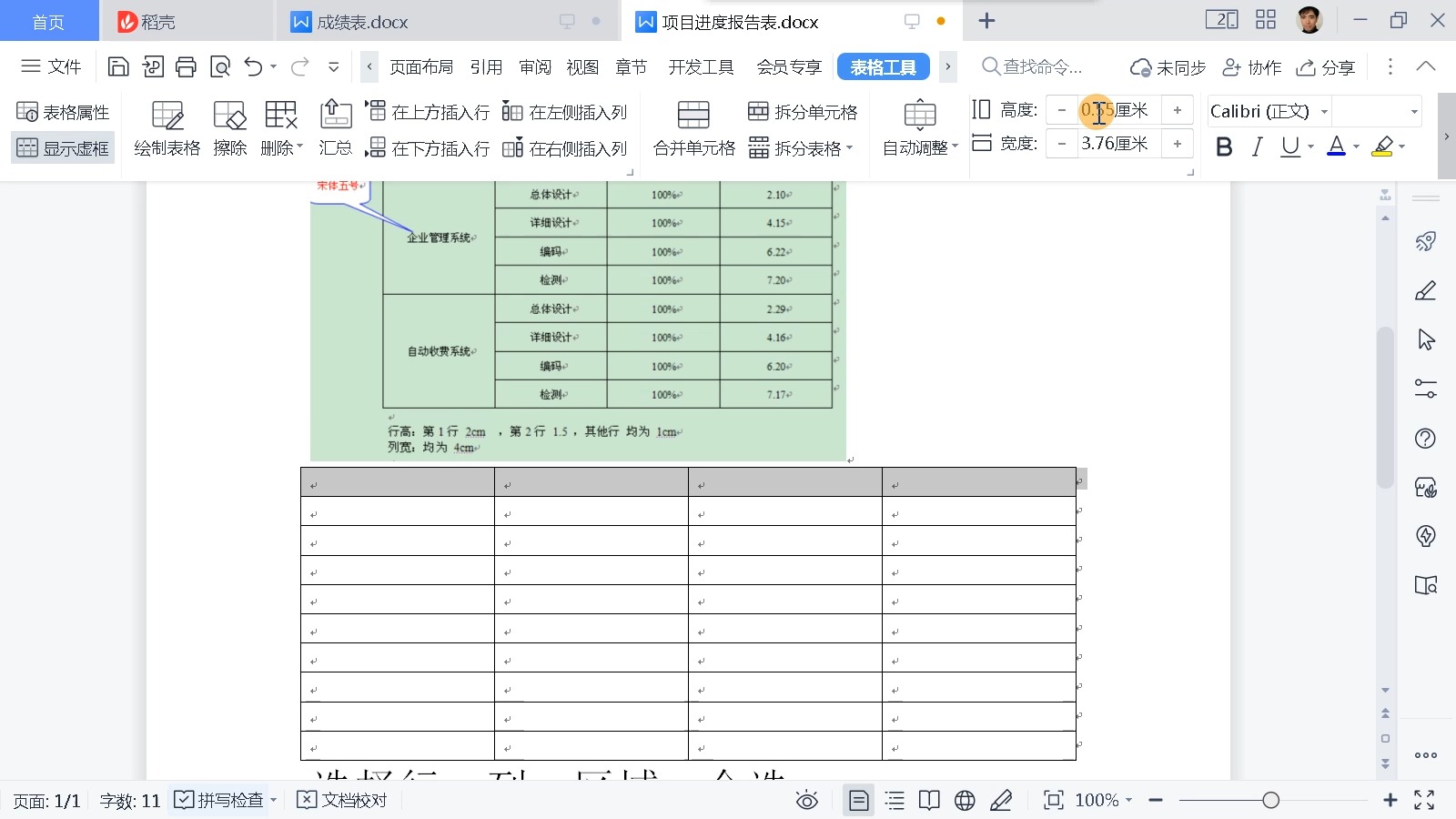 6.1.项目进度报告表