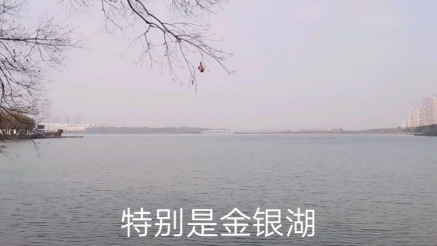 过小年徒步武汉东西湖金银湖,东湖美,西湖美,东西湖明天更美!