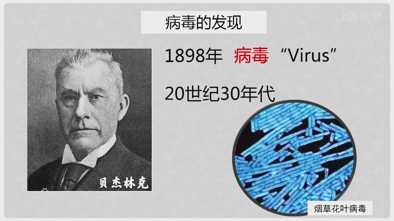 01病毒的发现史