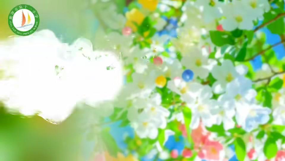 多彩班级,魅力文化!鹰潭市第十一小学班级文化建设