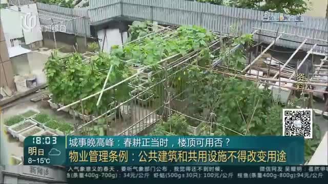 城事晚高峰:春耕正当时,楼顶可用否?物业管理条例:公共建筑和共用...