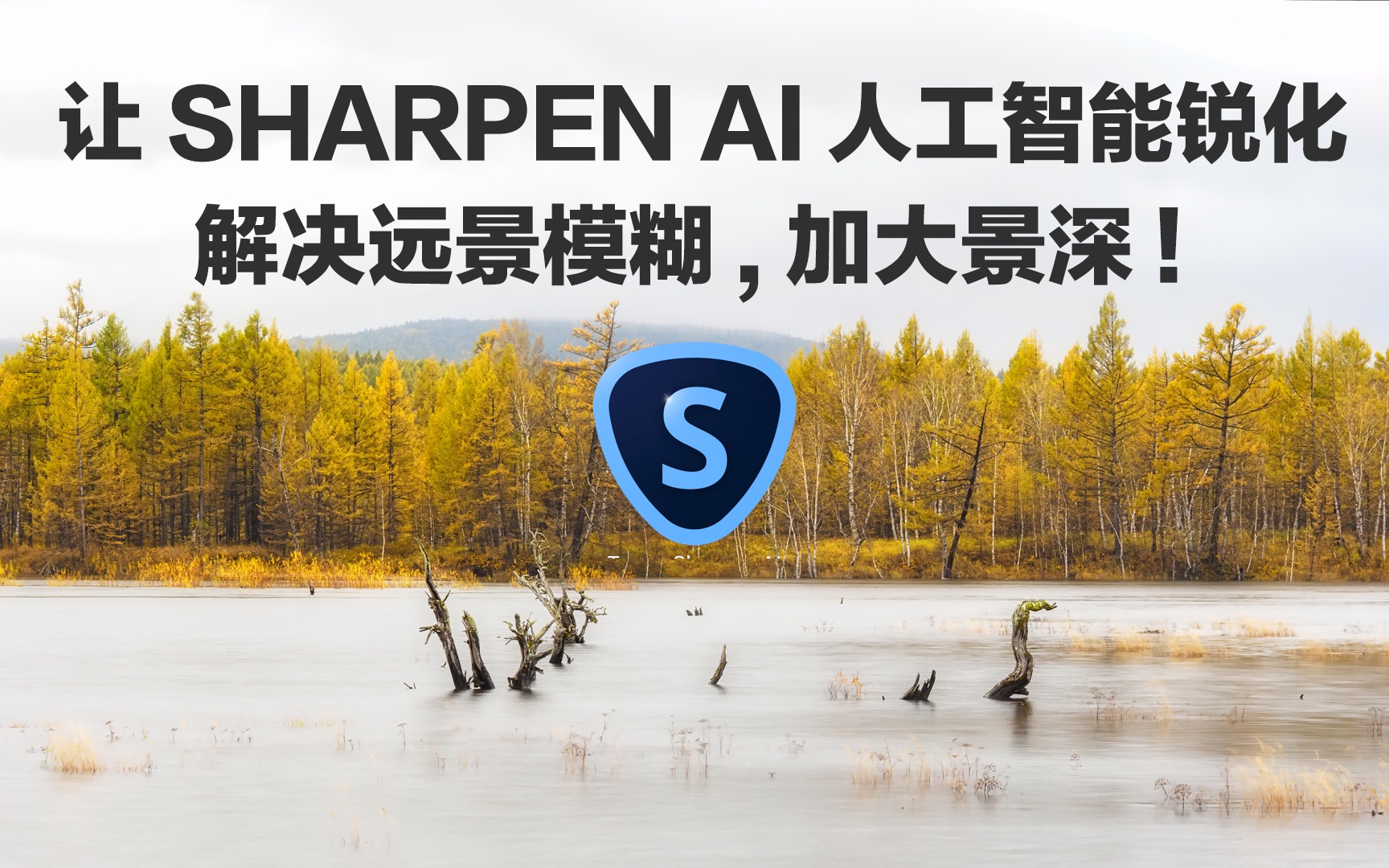 Sharpen AI人工智能锐化软件解决景深问题