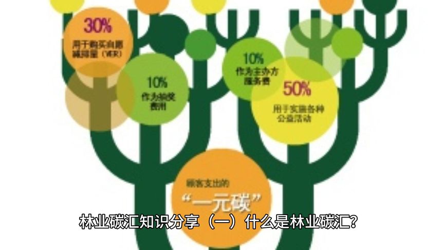 林业碳汇知识分享(一)林业碳汇?方法学?碳交易?之间关系