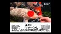 奥利仕锦鲤鱼池过滤器--养锦鲤必备