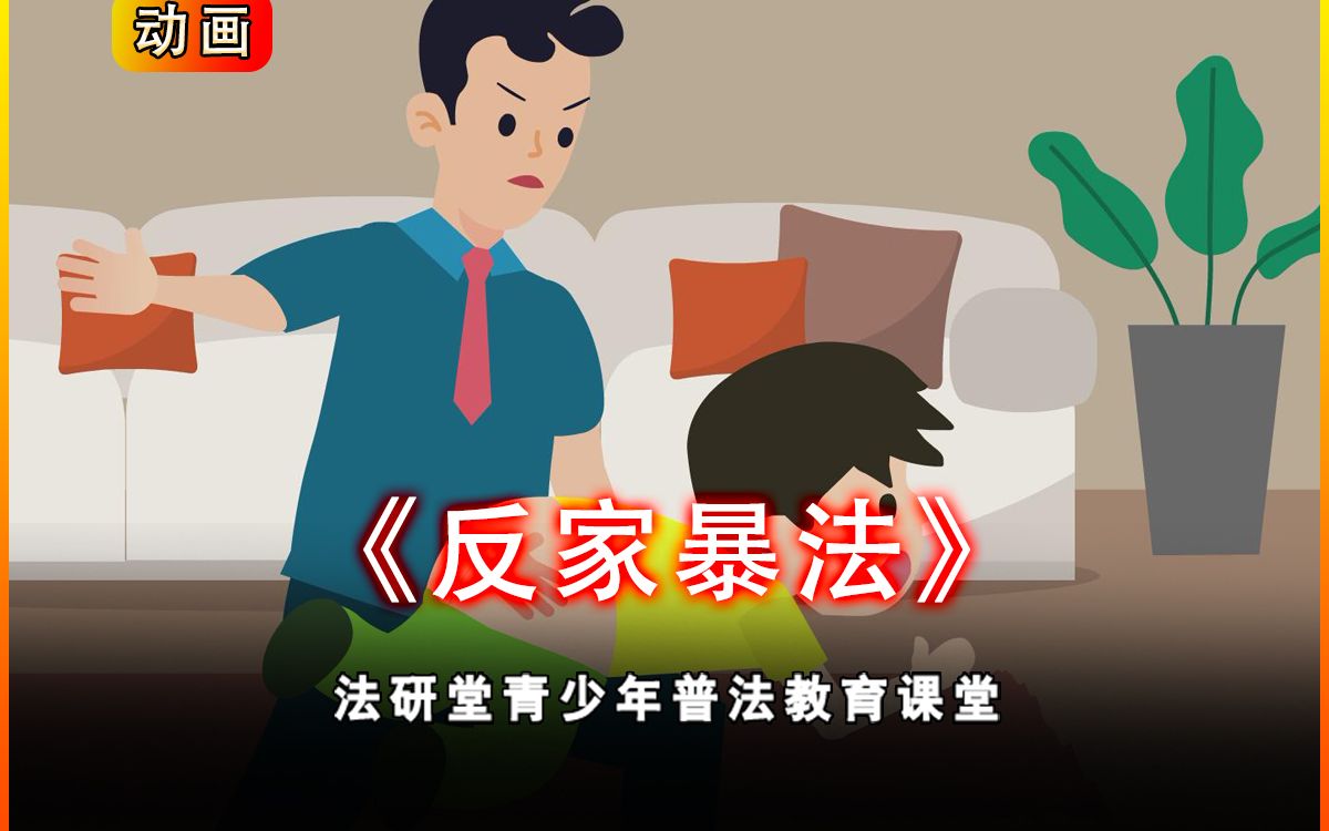 青少年普法课堂守法纪 篇:反家暴法