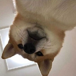 趣-史 