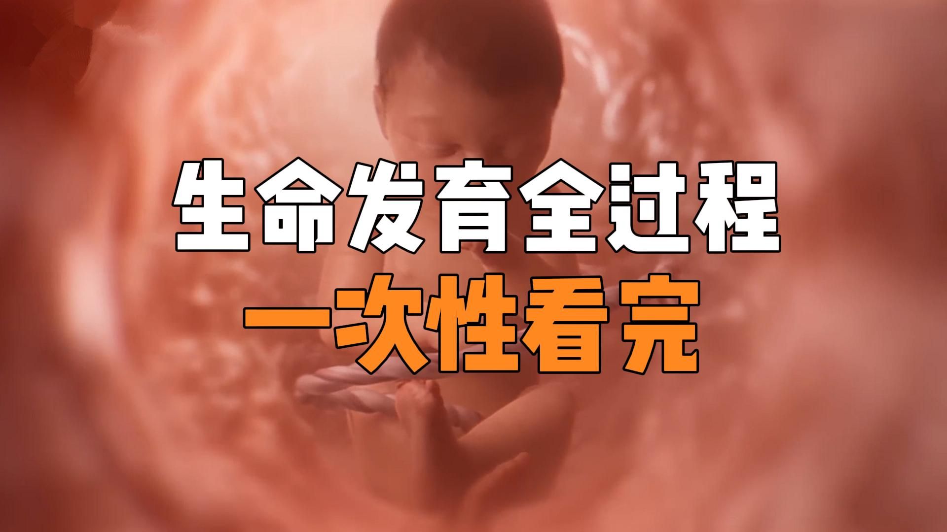 人类诞生的全过程,到底有多神奇?从小蝌蚪变成人,感叹生命的奇妙与...