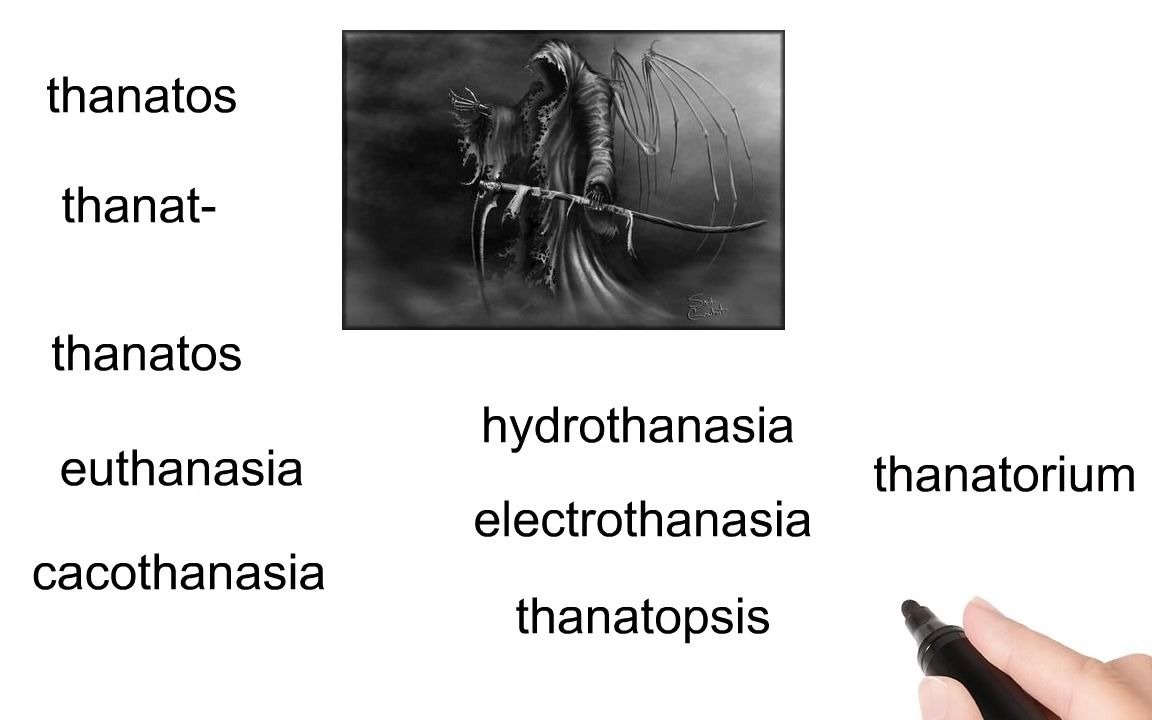 学英语 词源知识之thanatos英语单词