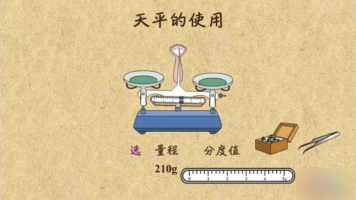 托盘天平的使用
