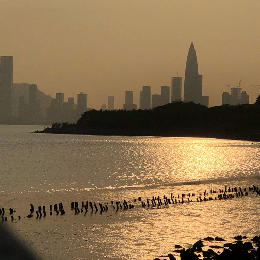 linxiangzhu0914 