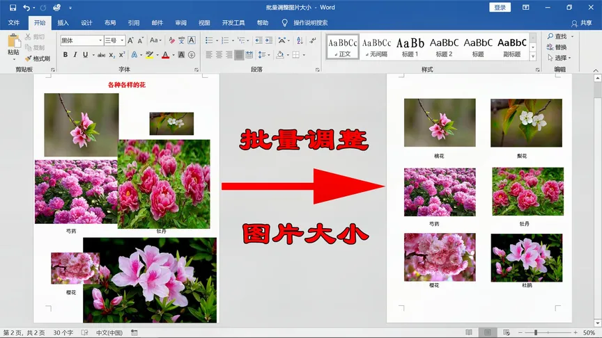 word文档怎样批量把所有图片调整为相同大小?这两种方法简单实用