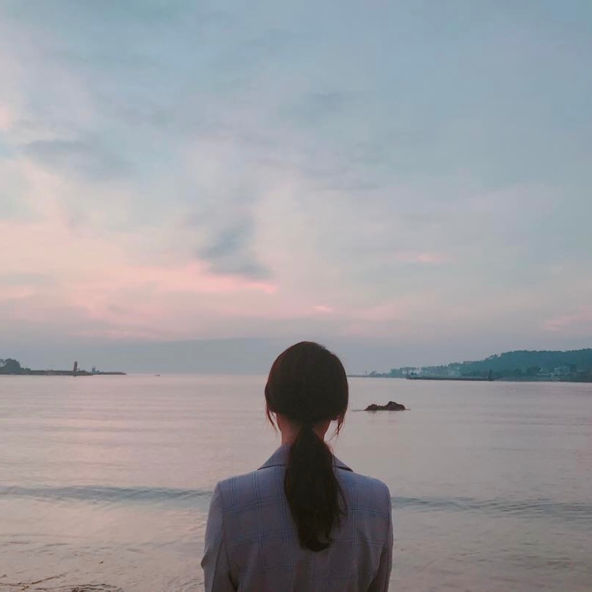 装一桶蔷薇 