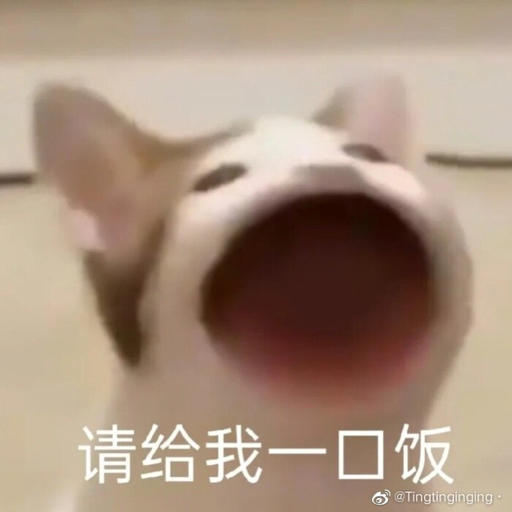 吃可爱多长大的阳阳 