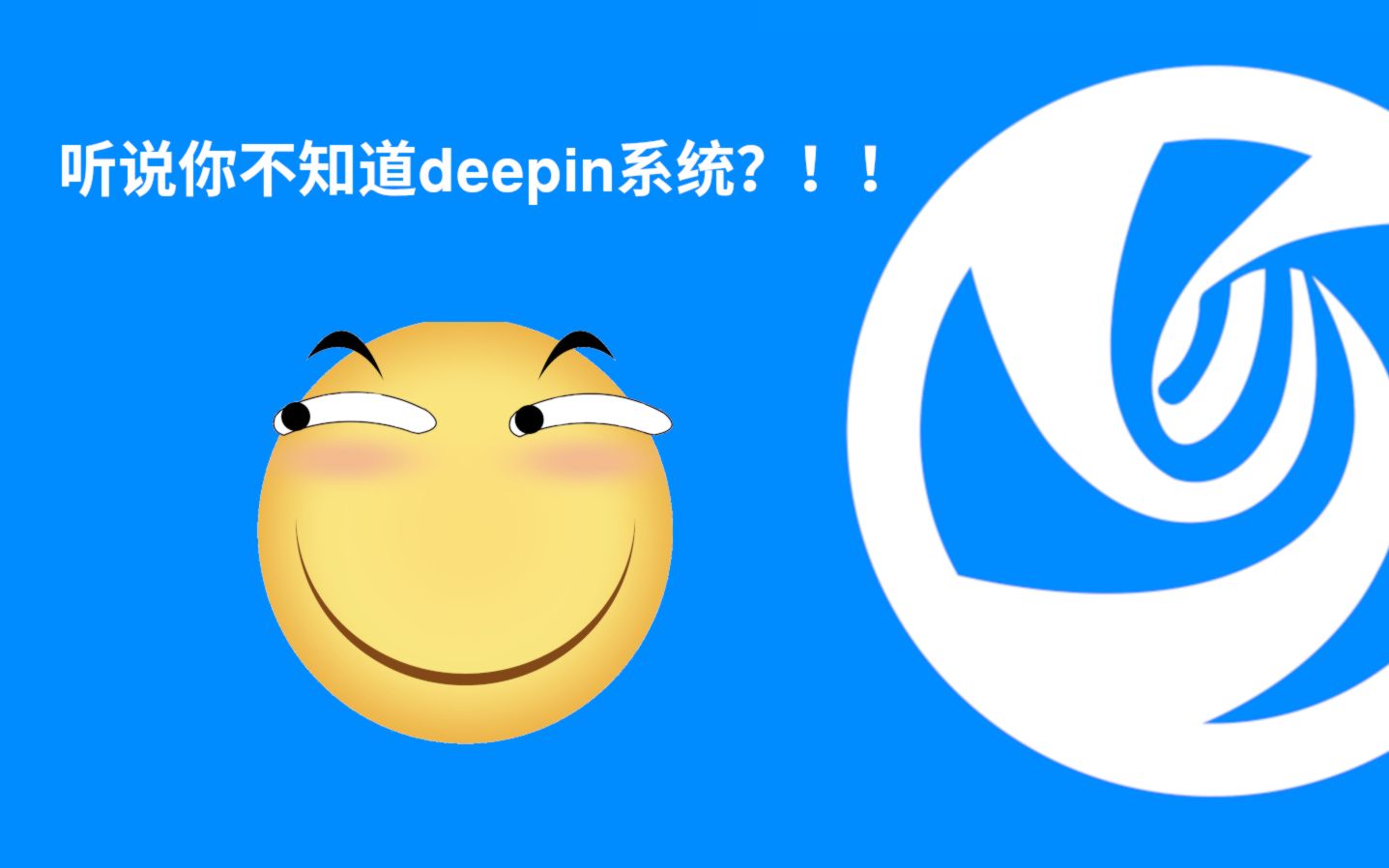 java偷懒自动安装,前方deepin警告233