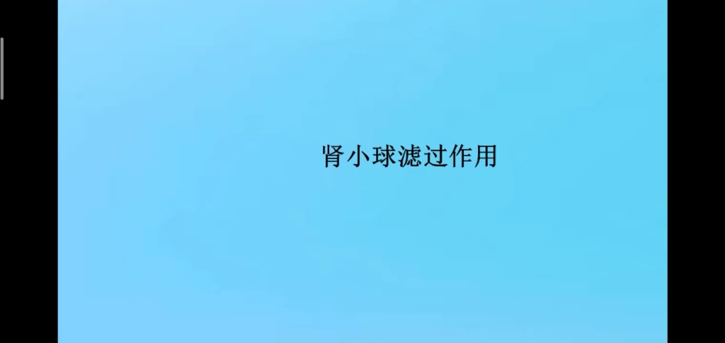 肾小球的滤过作用