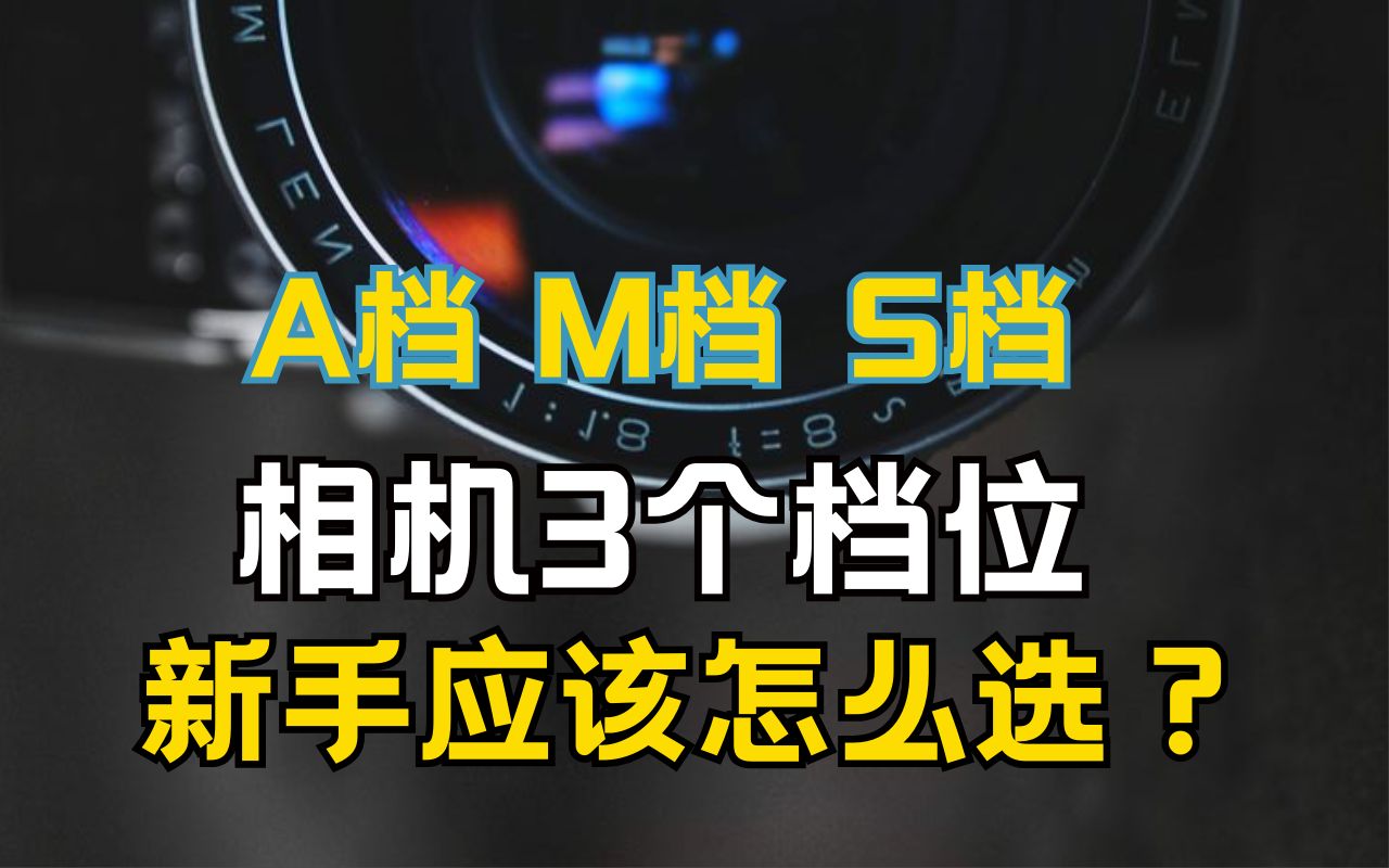 【摄影入门】P、A、S、M、B相机档位都是什么意思?我们该怎么用?
