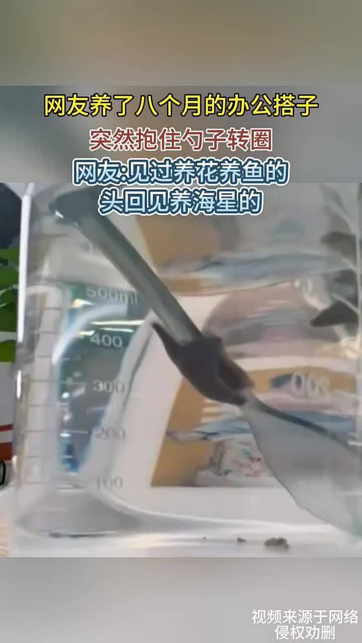 为提供情绪价值,竟跳起了钢管舞!