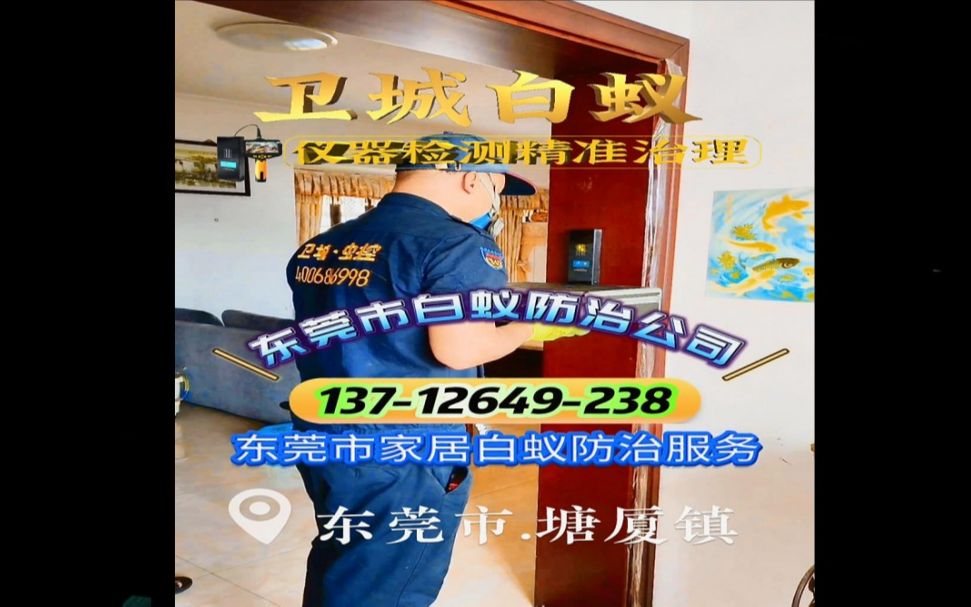 塘厦白蚁防治-东莞塘厦灭白蚁公司(专门师傅持有白蚁防治探测仪灭治...