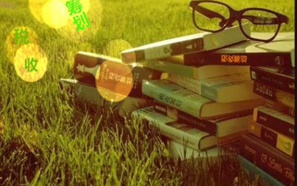 税收筹划-西南财经大学(国家精品课)