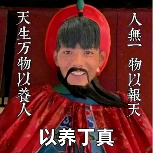 PP野牛爱好者 