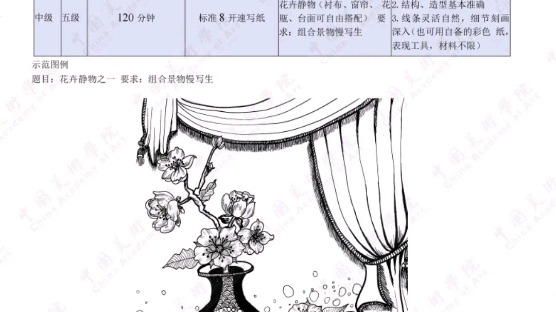 中国美院考级——速写五级考试大纲花卉静物(衬布、窗帘、花瓶、...