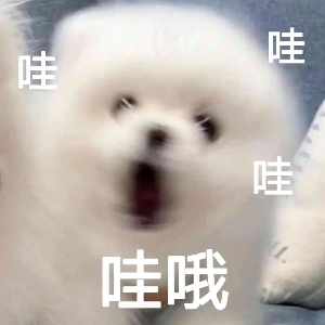 玛给个硬币 