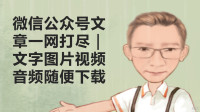 微信公众号文章一网打尽|文字图片视频音频随便下载