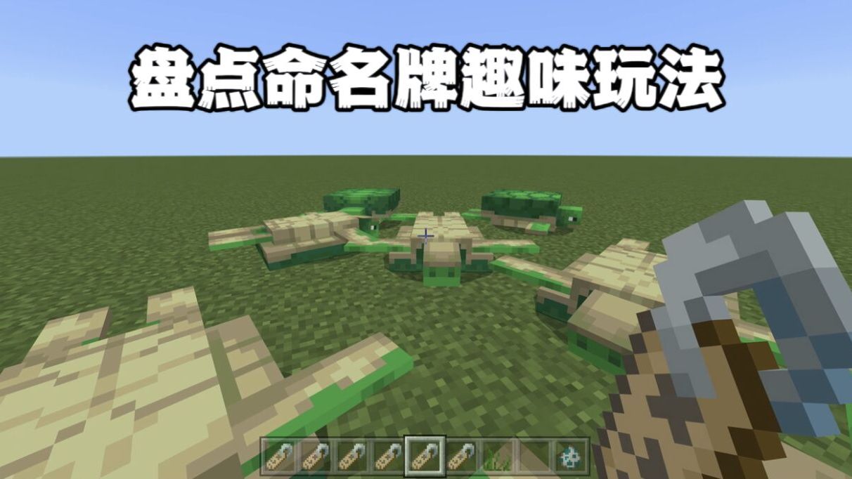 我的世界:盘点命名牌的趣味玩法