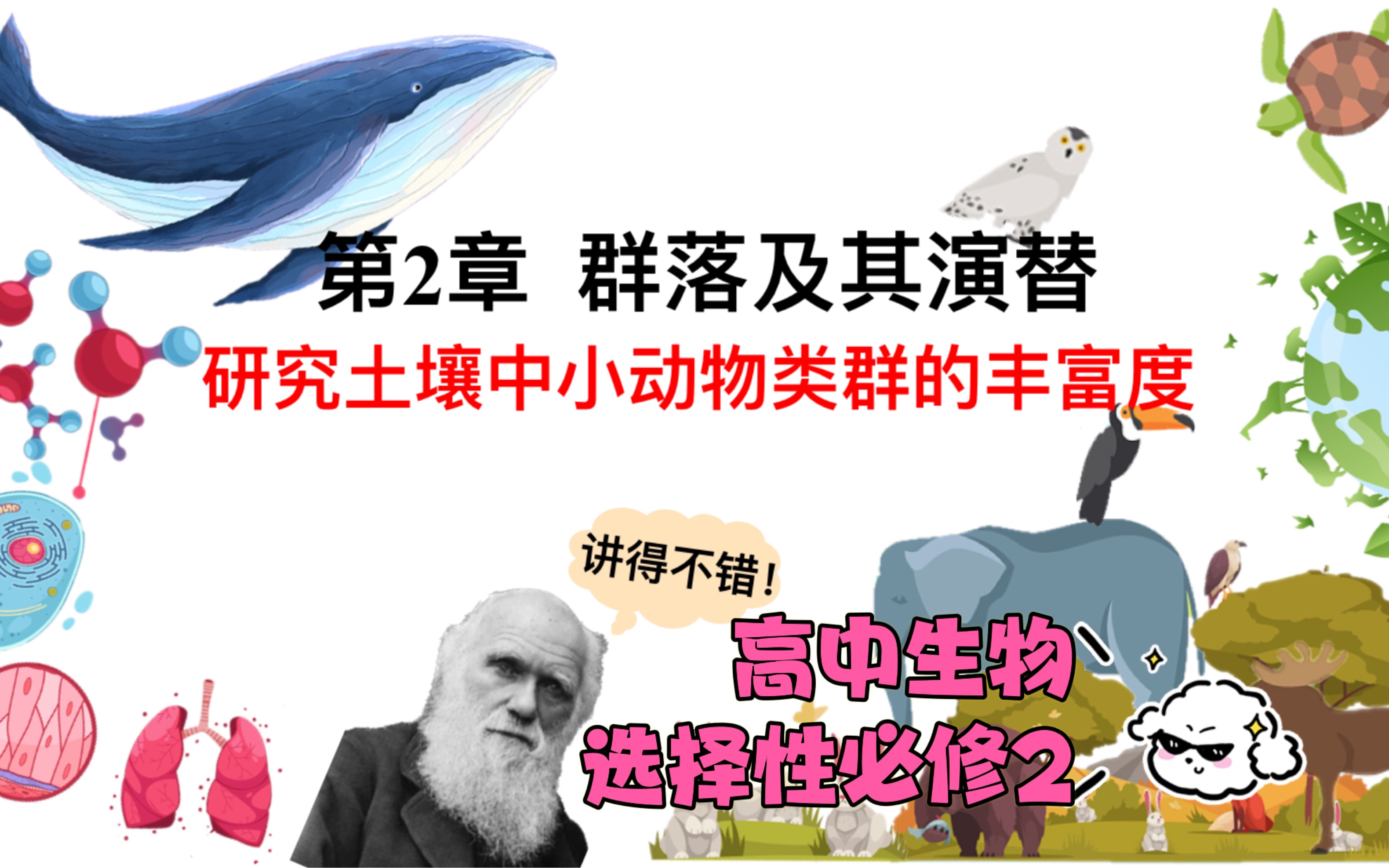 高中生物选择性必修2 | 2.1 探究实验—研究土壤中小动物类群的丰富度
