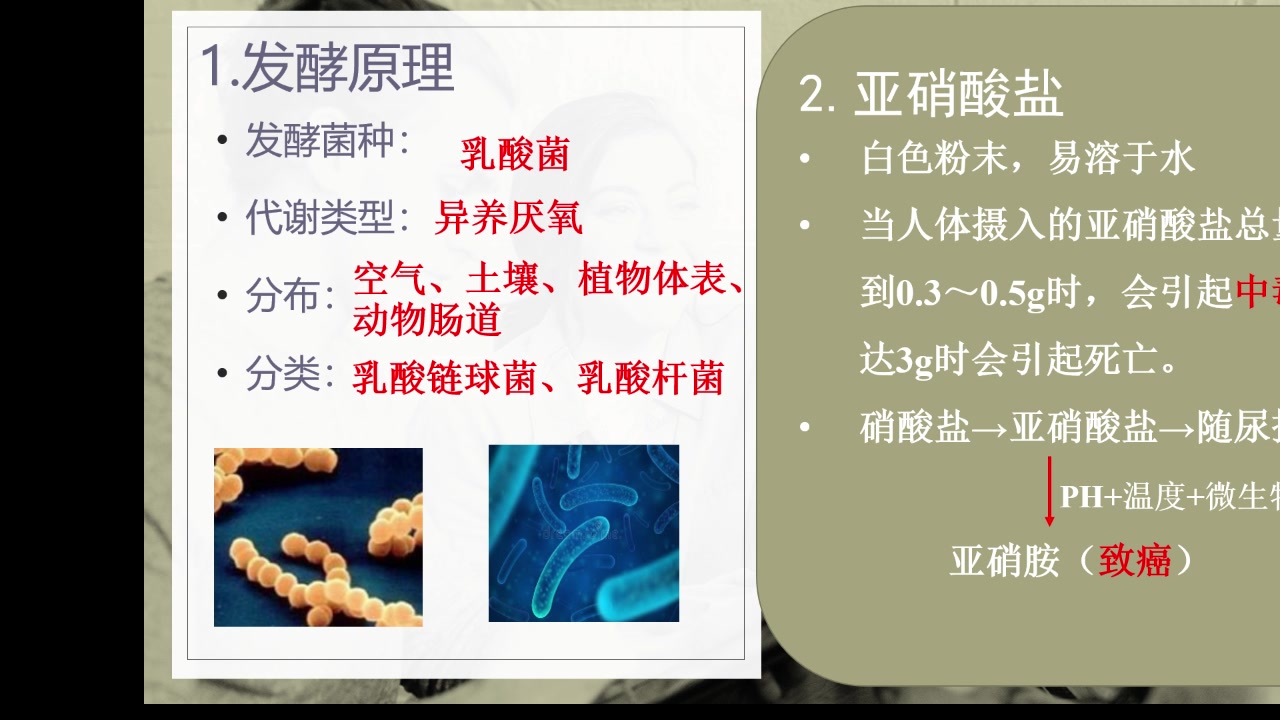 泡菜制作与测定亚硝酸盐含量