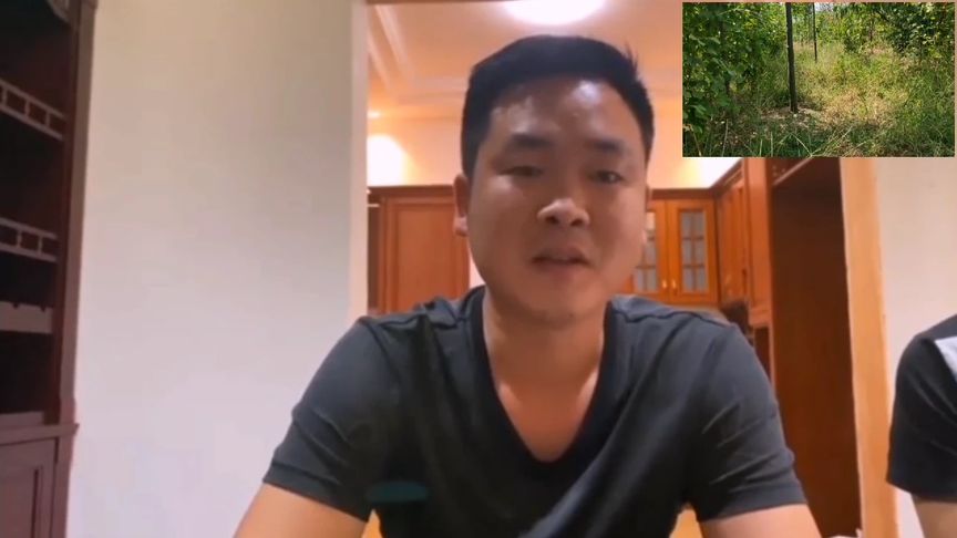 8000元一立方,种一根10000元?原木加工老板揭秘红橡木市场猫腻
