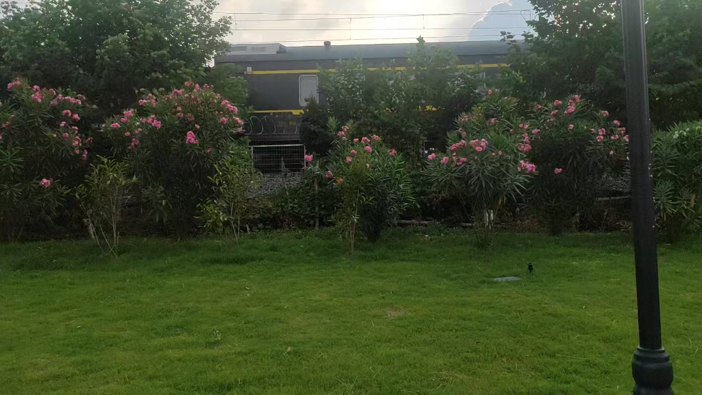 京广线拍车K1125次列车