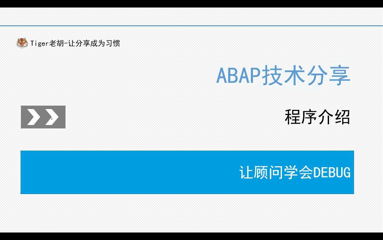 让顾问学习DEBUG-第三课 程序介绍
