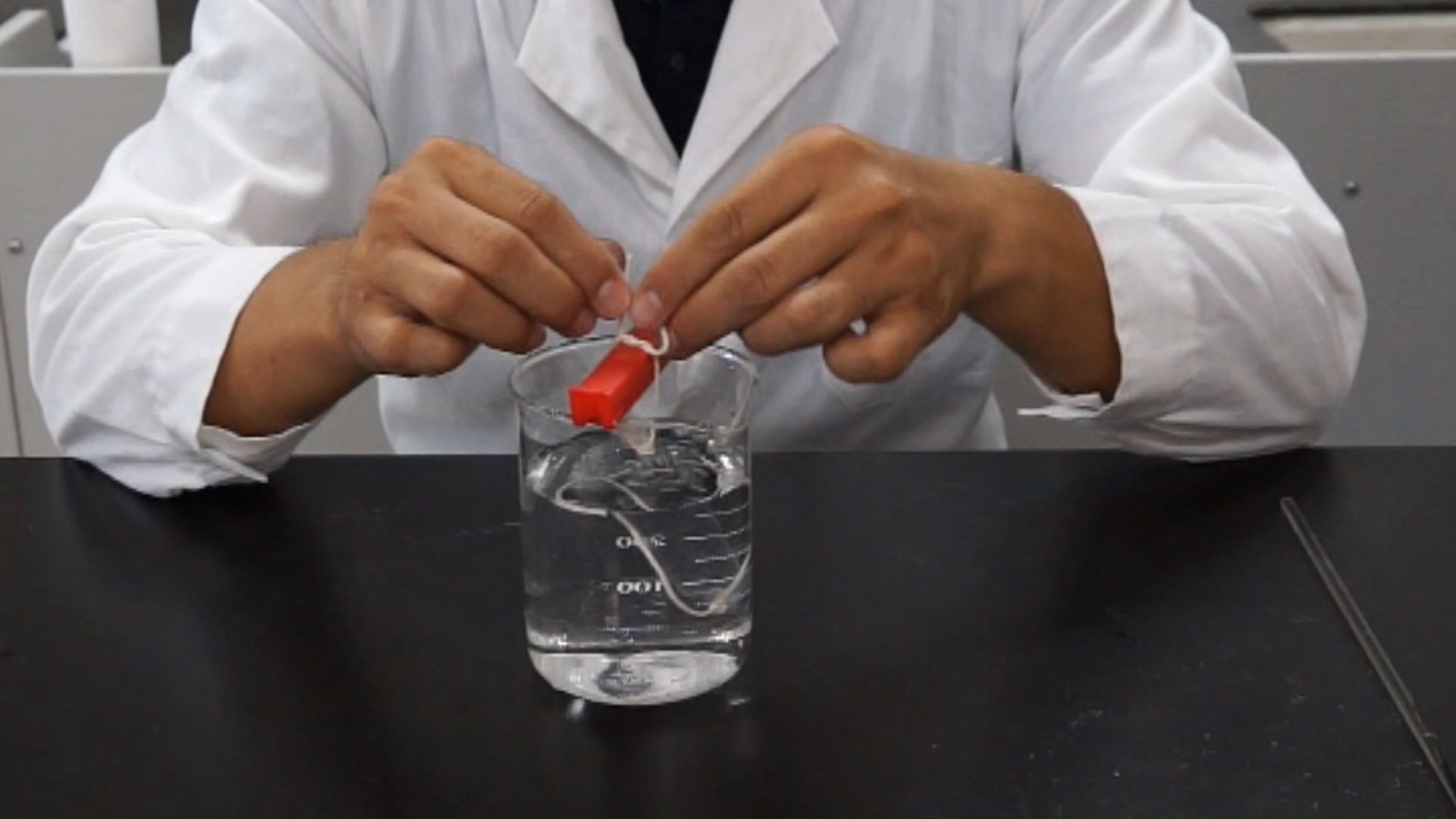 探究细胞膜的透过性(透析袋)