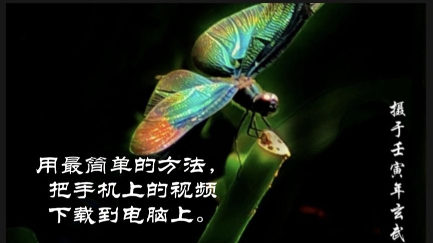 用微信功能把手机上的视频传到电脑,下载到电脑里