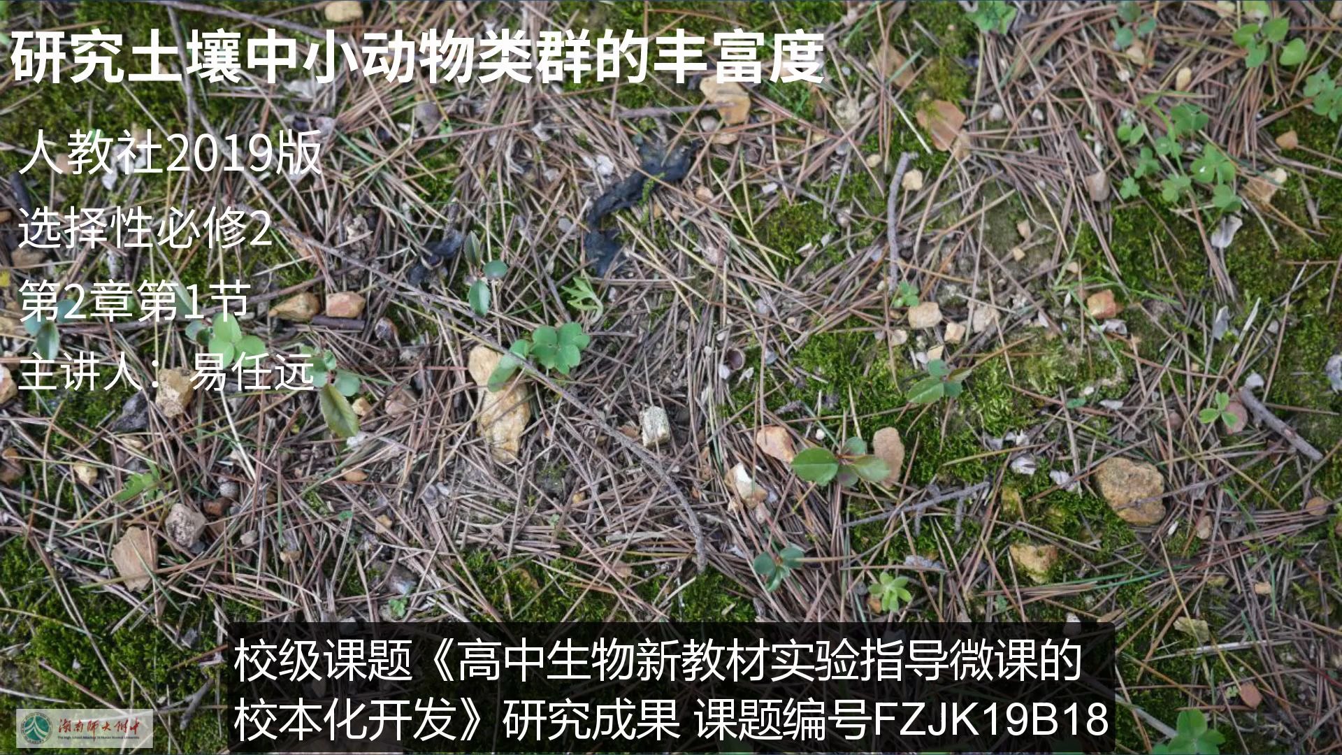 研究土壤中小动物类群的丰富度——探究雪松落叶对土壤动物群落的...