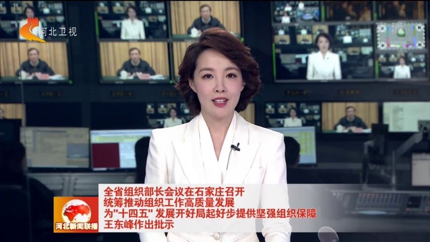 全省组织部长会议召开,王东峰作出批示