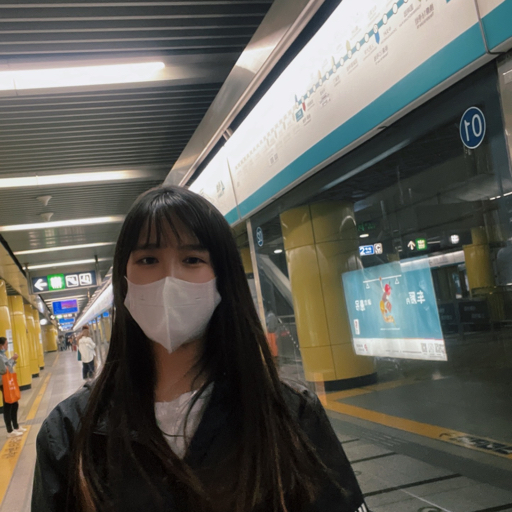 小猫在忙 