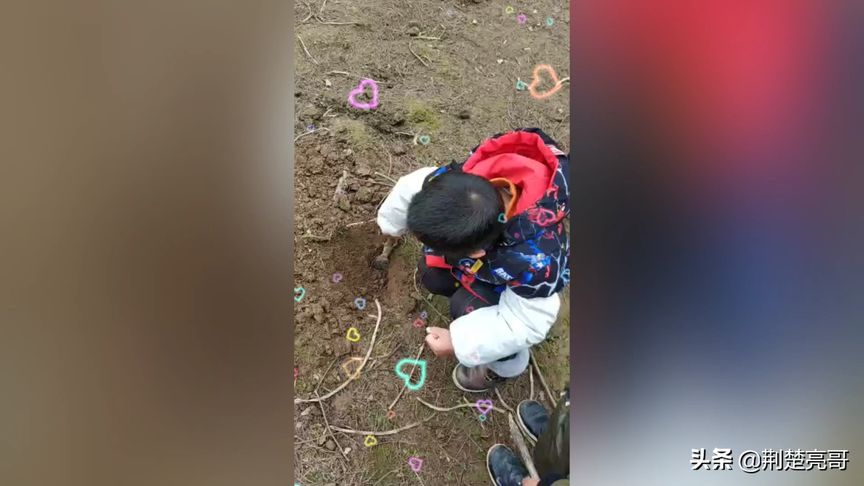 植树节,带领小朋友们植树