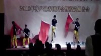 武术旗舞表演