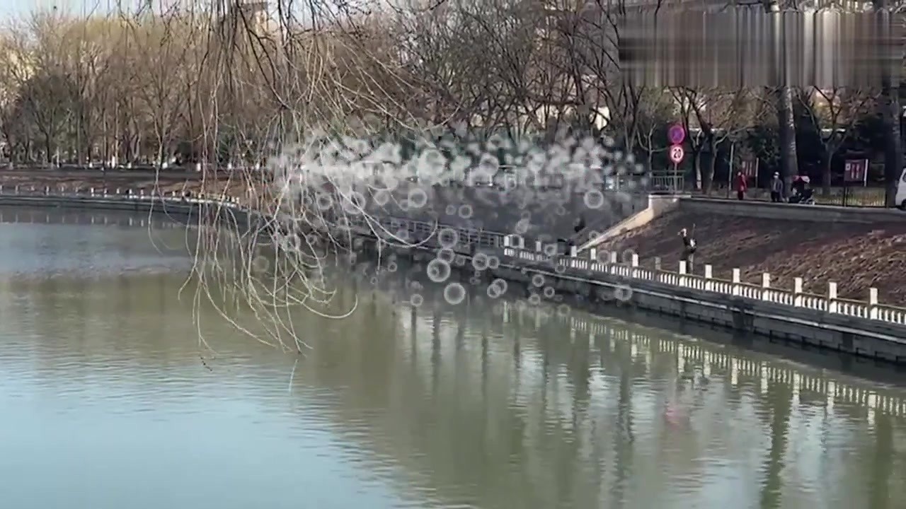 北京大爷锻炼身体已经nextlevel隔着河岸接抛飞盘!