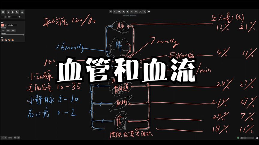 人体是如何分配血管及血流的?