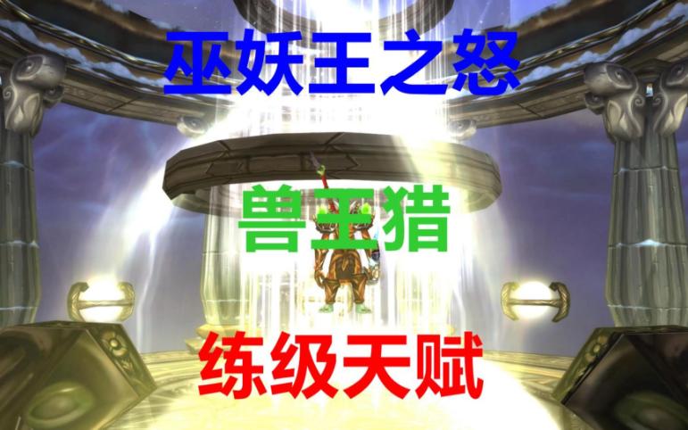 巫妖王之怒怀旧服 兽王猎练级天赋推荐 魔兽世界WLK 猎人升级天赋分享